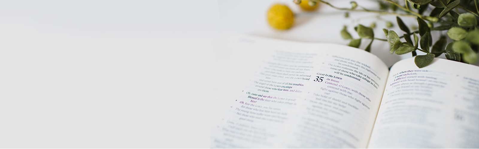 NLT Large Print Thinline Reference Zipper Bible-Black Cross | Cru Media ...